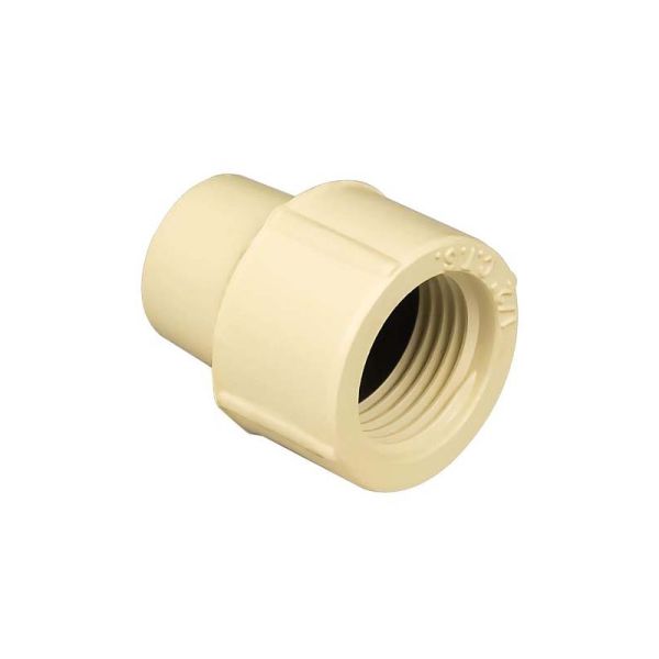 Daco Cpvc Female Adapter 1/2 In Bone 1 Each 851264